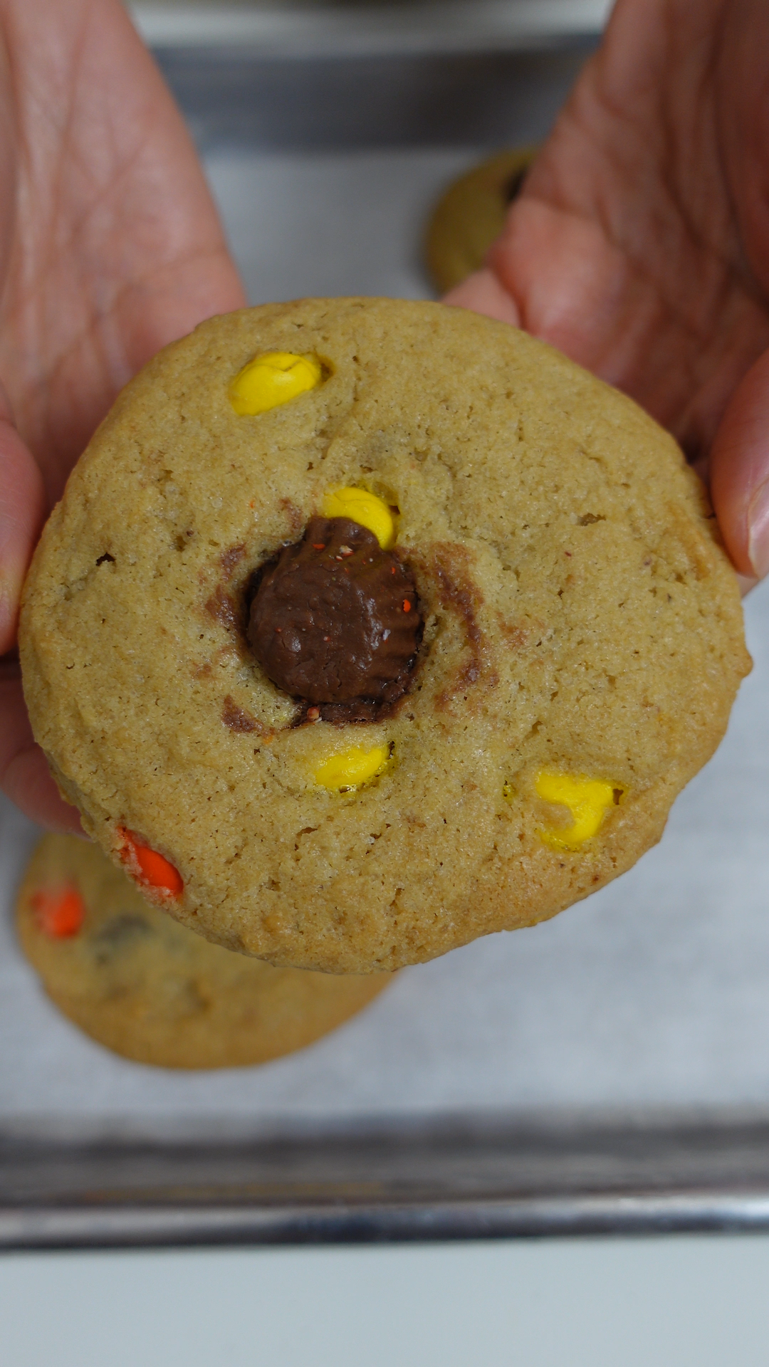 Shrimp Paste Peanut Butter Cookies (Day 5 of Cookiemas) - Jeanelleats