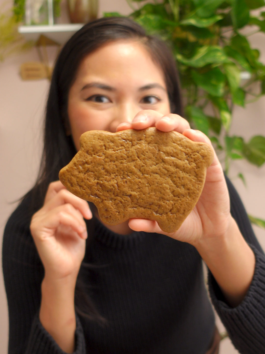 Marranitos (Mexican Gingerbread Pigs) - Jeanelleats Food and Travel Blog