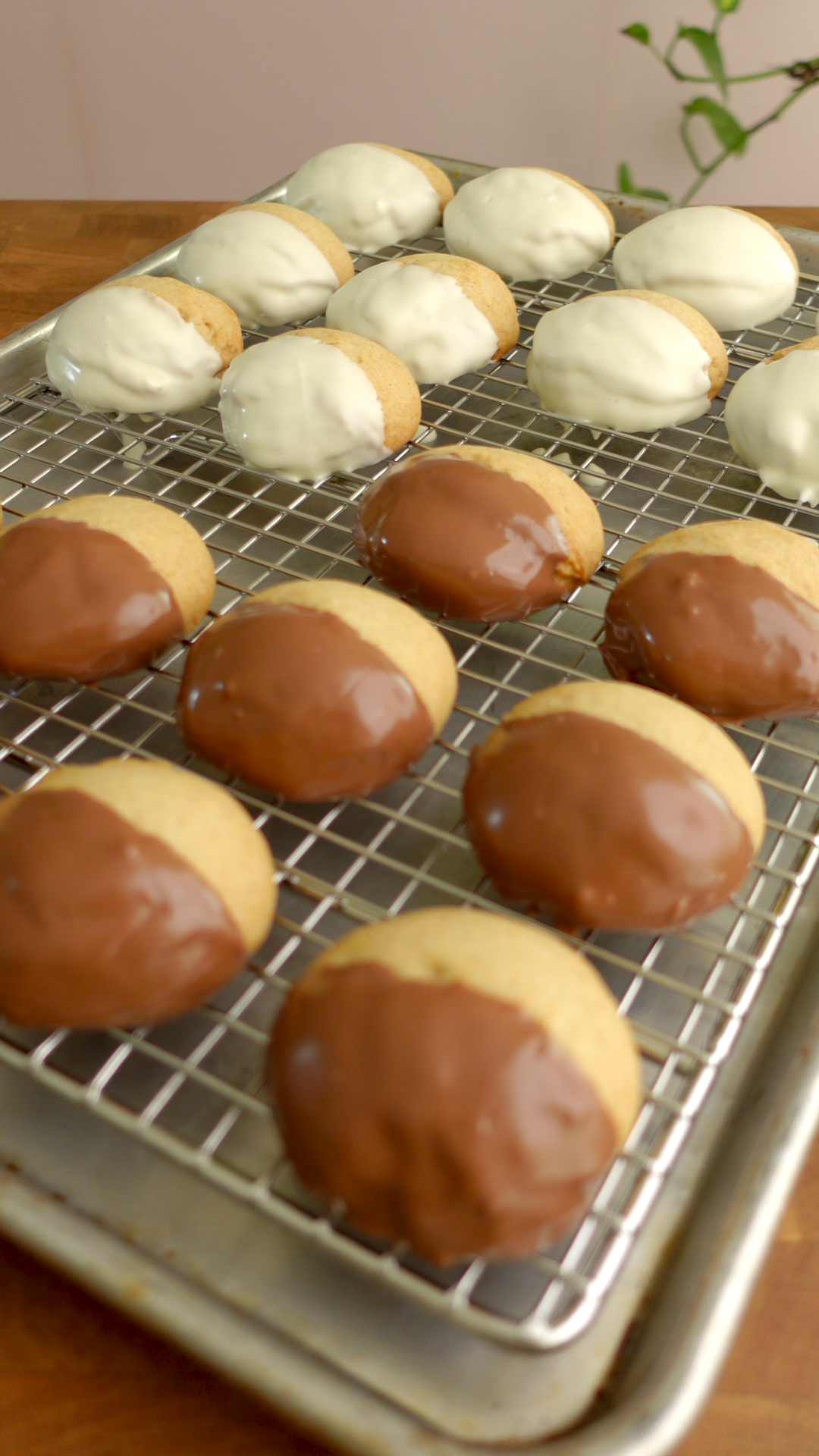 Medenki (Bulgarian Honey Cookies) - Jeanelleats Food and Travel Blog