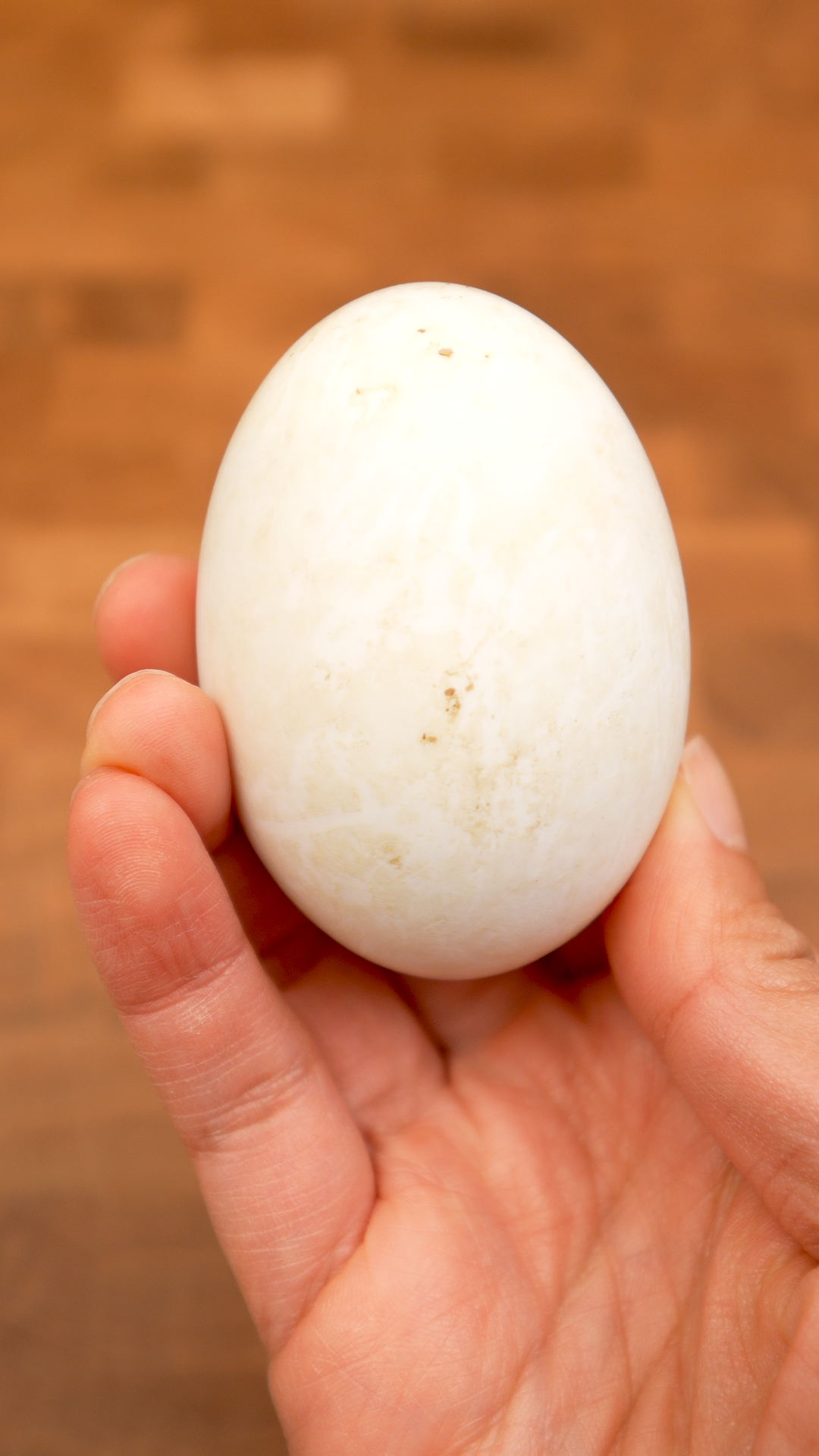 How to Cook Balut - Jeanelleats Food and Travel Blog